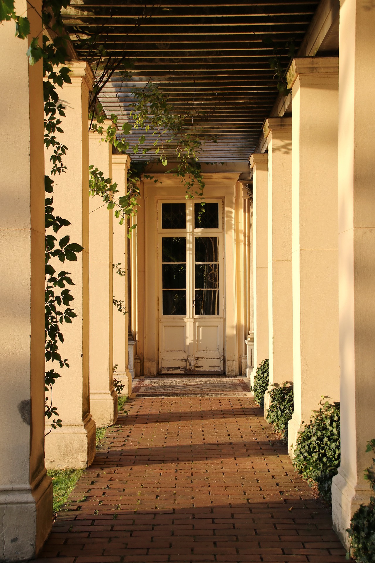 Pergolas adossées - Pergola Confort NRJ